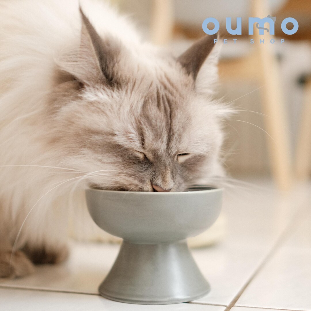 PERFECTLY IMPERFECT Japanese Collection | Elevated Ceramic Pet Food ...