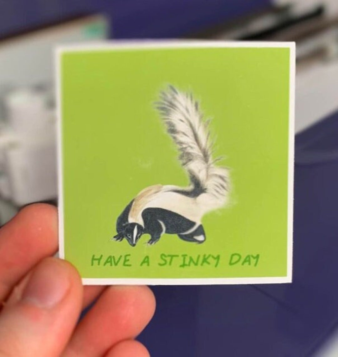 Have A Stinky Day Skunk Sticker, Laptop Sticker, Indoor Use Only - Etsy