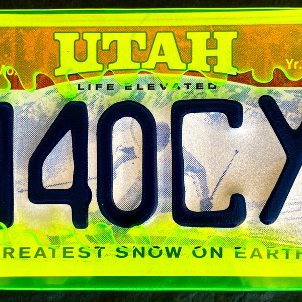 Slime License Plate Frame - Etsy