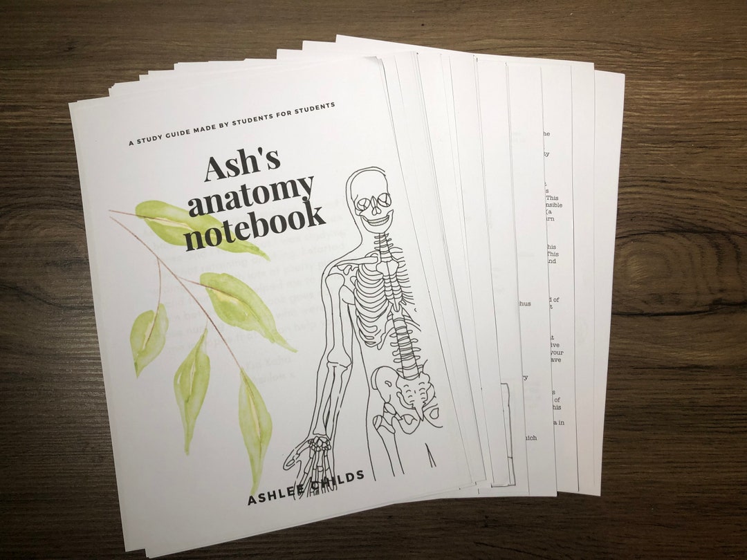 Human Body Anatomy Notes - Etsy