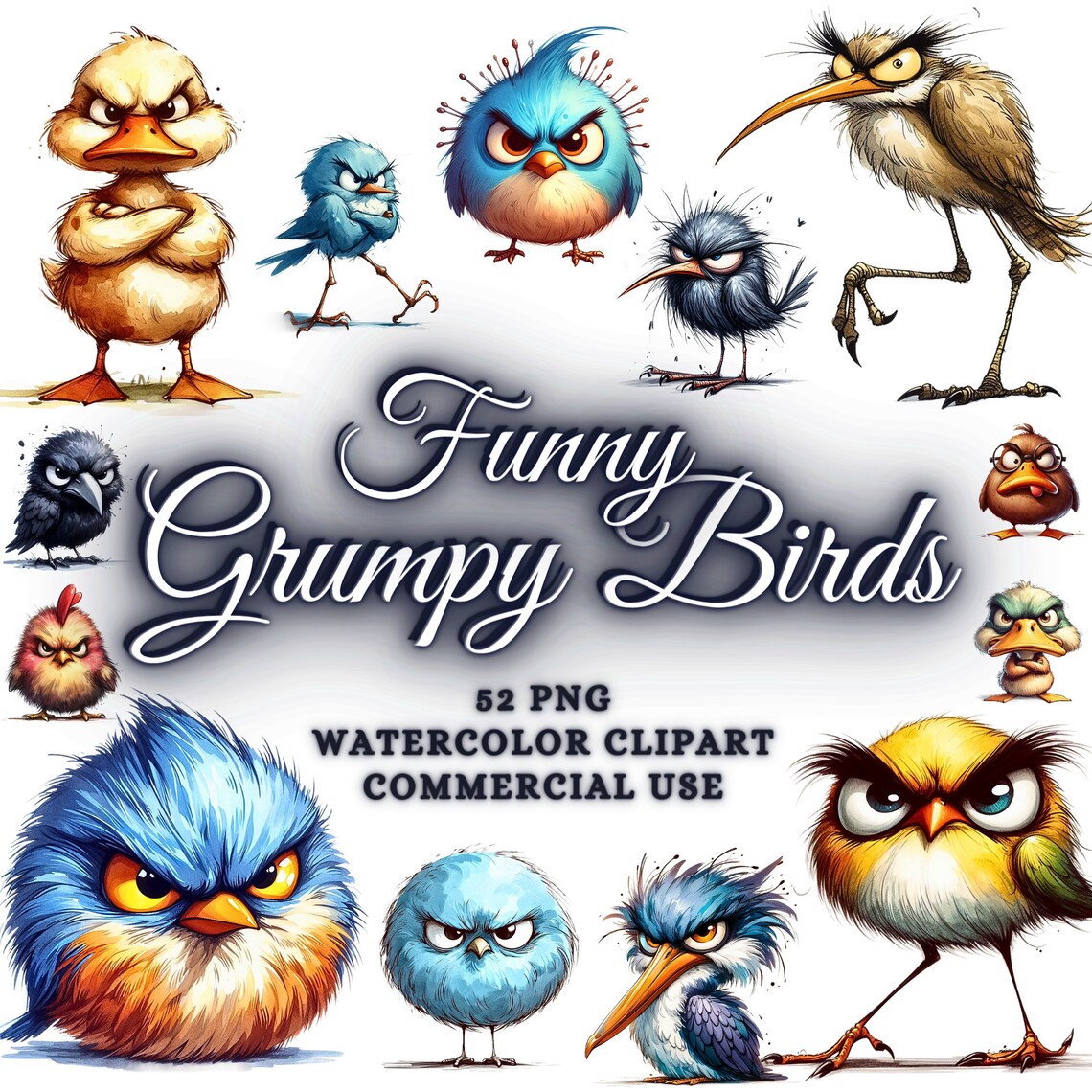 52 Grumpy Funny Bird Clipart Bundle, Funny Cute Bird Png Bundle ...