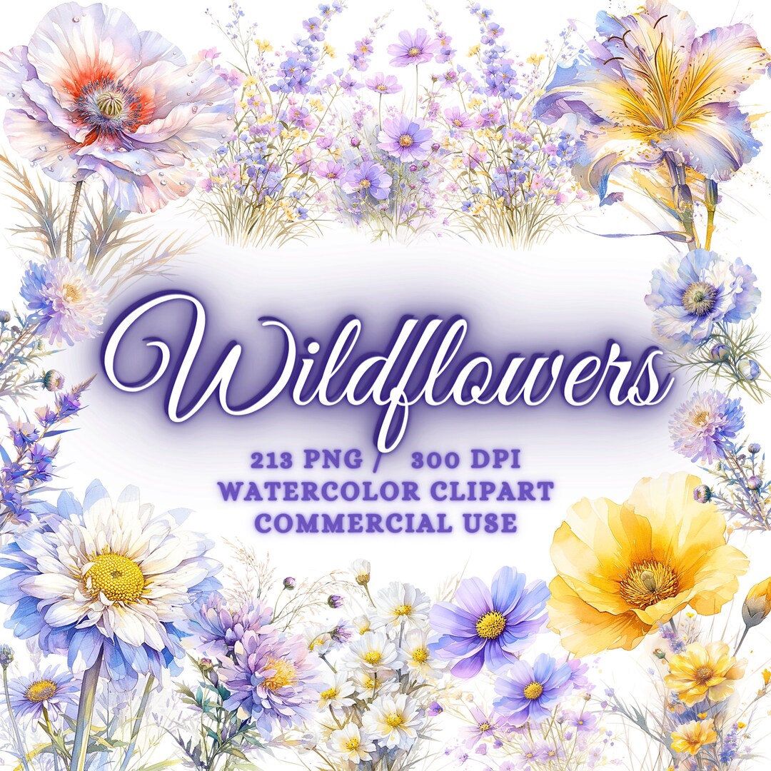 213 Watercolor Wildflower Clipart Png Bundle, Meadow Flowers Clipart ...