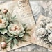 Watercolor Peonies Papers, Vintage Peonies Digital Papers Peony Journal ...