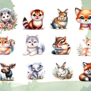 100 Cute Watercolor Woodland Animals Clipart Bundle, Forest Animals ...