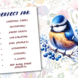 47 Cute Spring Bird Clipart Bundle, Cute Bird Png Bundle, Watercolor ...