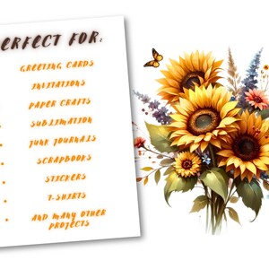 Watercolor Sunflower Clipart Bundle, Sunflower Png Bundle, Watercolor ...