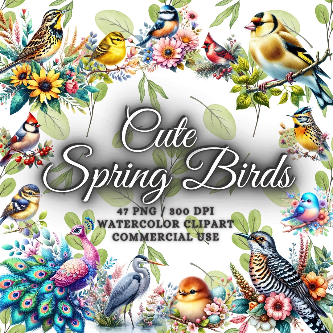 47 Cute Spring Bird Clipart Bundle, Cute Bird Png Bundle, Watercolor ...