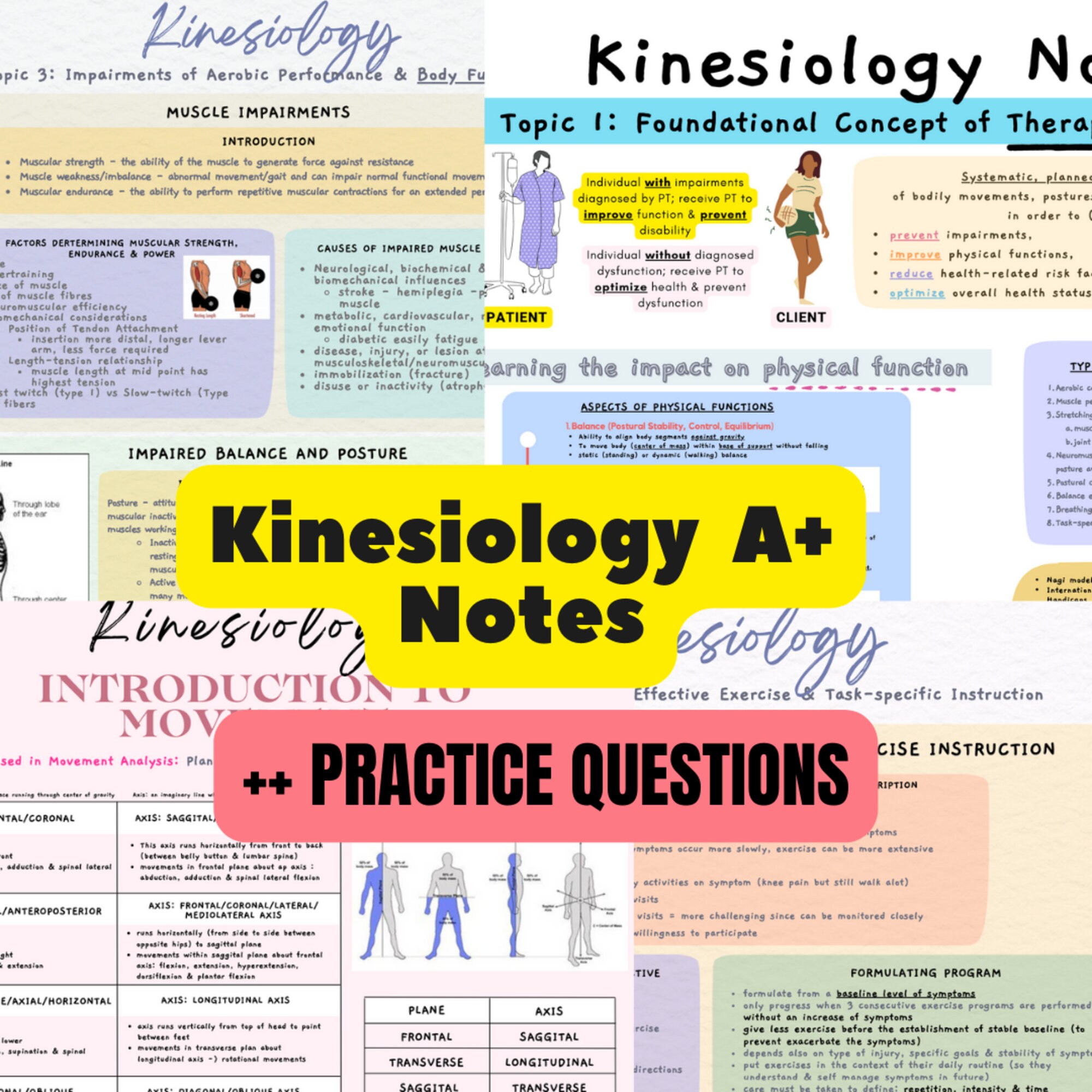 Introduction to Kinesiology A+ Study Notes + EXTRA 20 PRACTICE ...