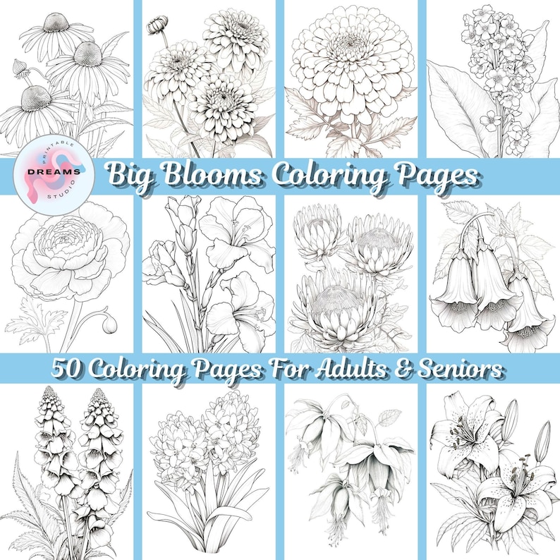 Floral Coloring Pages: 50 Big Blooms for Adults & Seniors (PDF) - Etsy