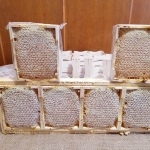 Wood Honeycomb Frames for Beekeepers,small Frame Size 103.5x130mm - Etsy