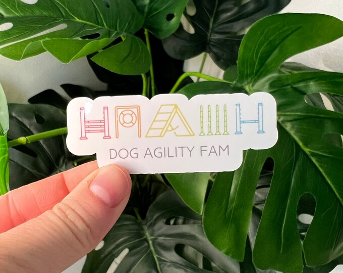 Dog Agility Car Magnet AKC Preferred Title PACH - Etsy