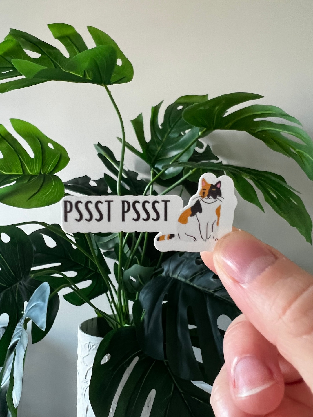 Pst Pst Cat Sticker Kitten Cats Cute - Etsy