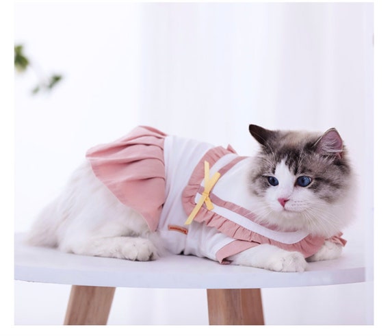 Cute Cat Clothes Small Skirt Pet Clothing Summer Spring Cat | Etsy