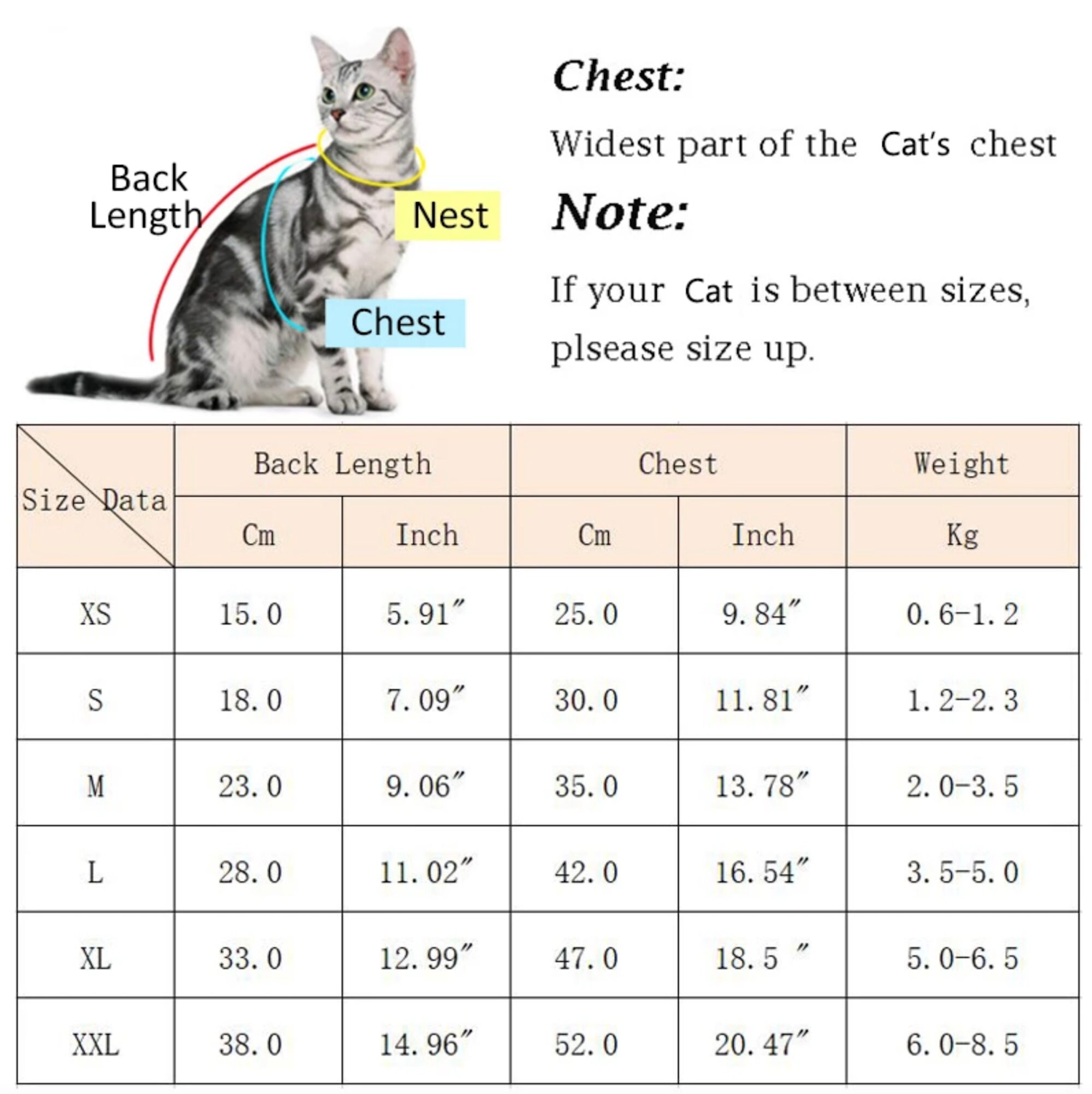Ragdoll Cat Size Chart