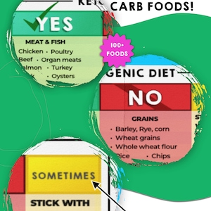 KETO FOOD List. Keto Yes and No Food List. Diet Low Carb Cheatsheet ...