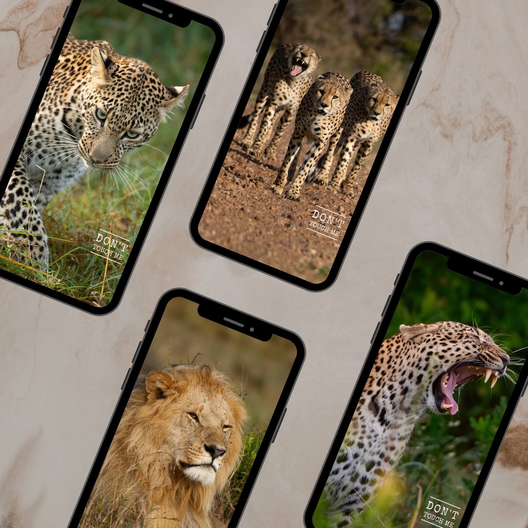 Set of 4 Wildlife Phone Lock Screen 4 Animals Photos Digital Download ...