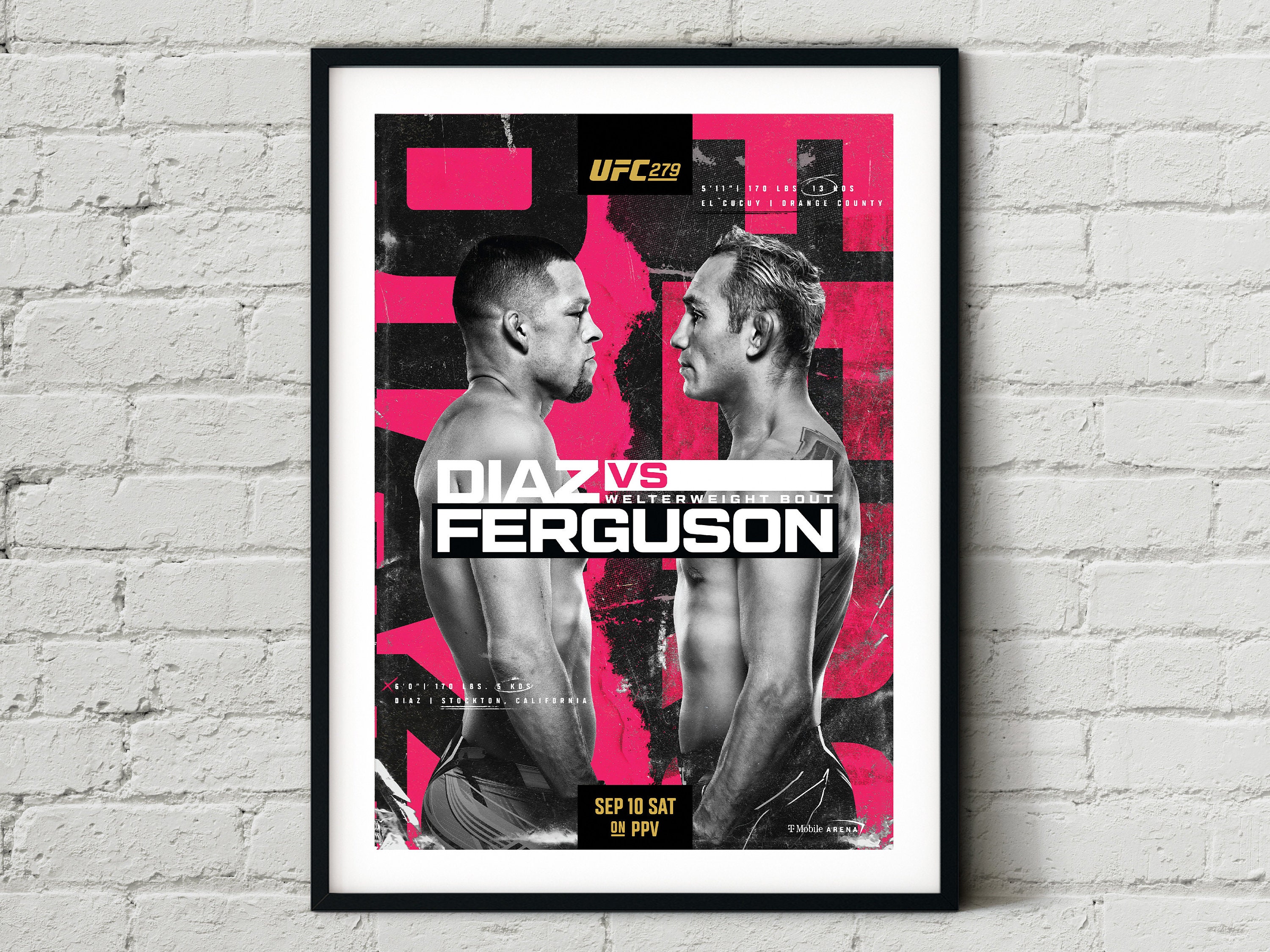 Ufc 170 Poster