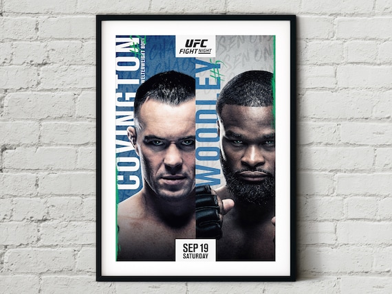 Ufc 178 Poster