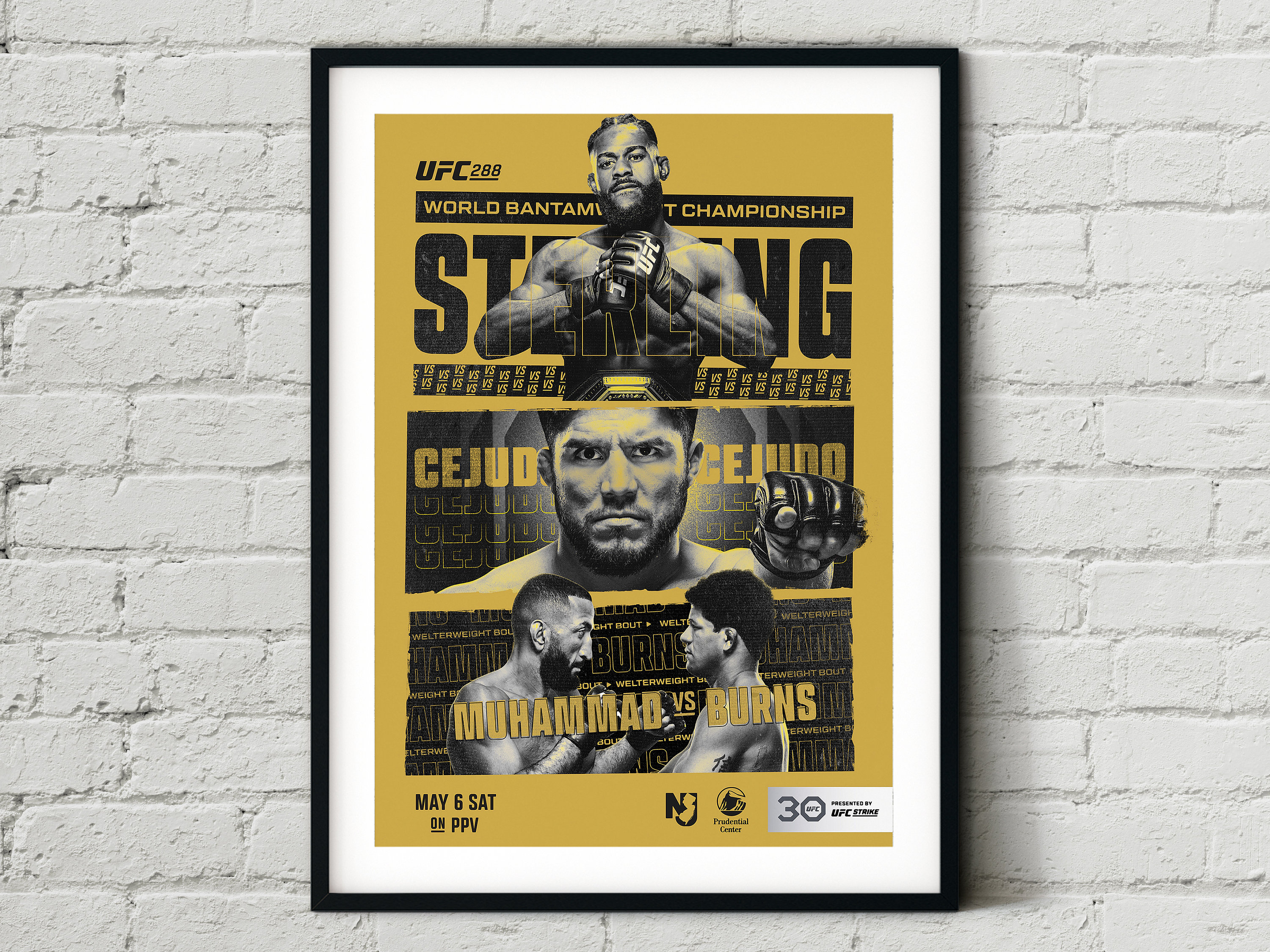 Ufc Poster Size