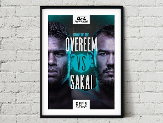 Ufc 176 Poster