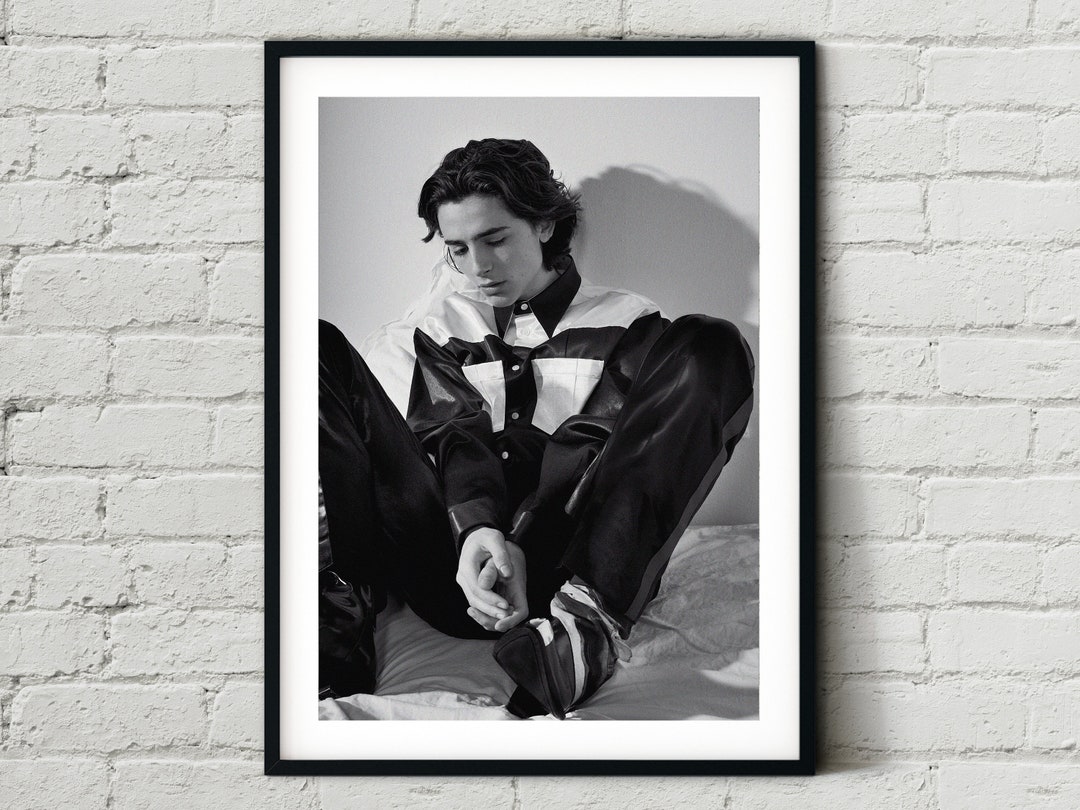 Timothee Chalamet Actor Movie Poster Three Size A3 A4 and - Etsy
