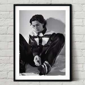 Timothee Chalamet Actor Movie Poster Three Size A3 A4 and - Etsy