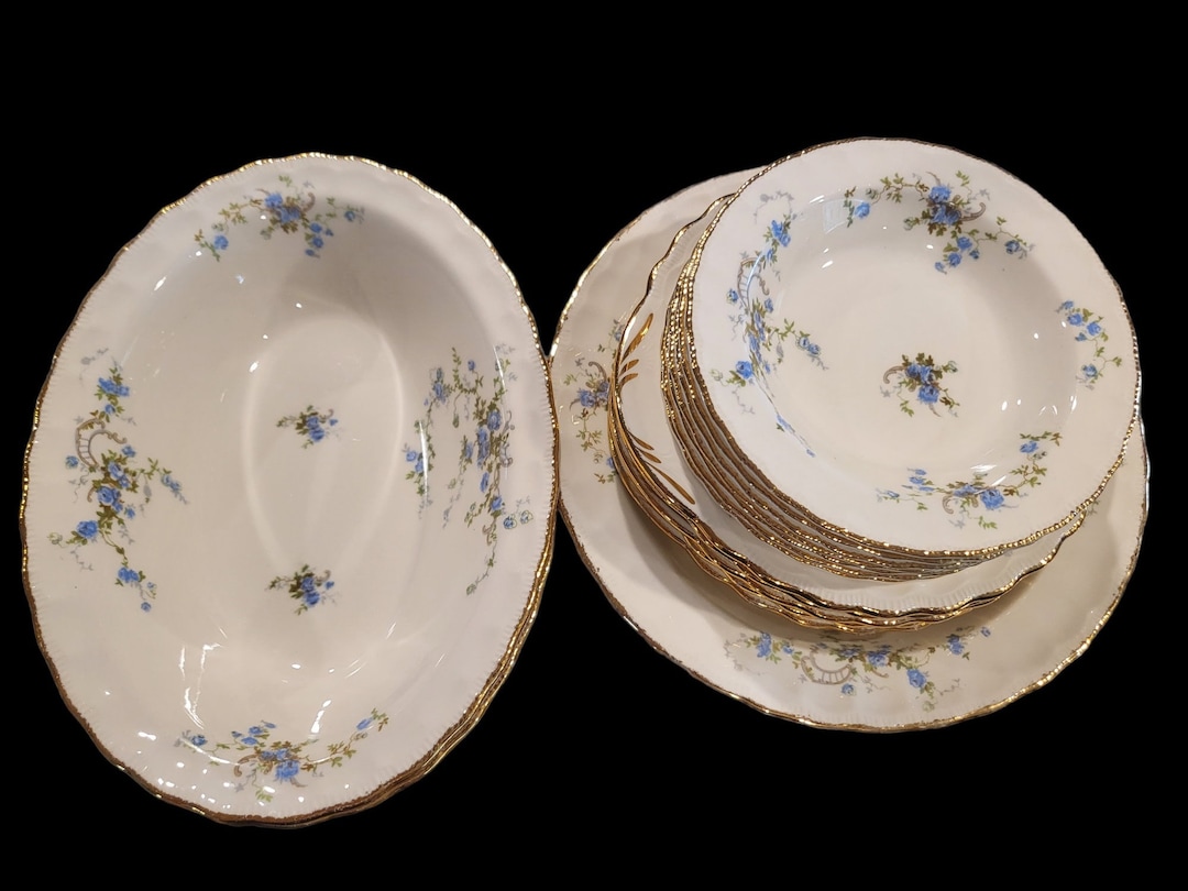 Vintage Pope Gosser Fleurette China - Etsy
