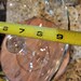 Vintage Stuart Ariel Air Twist Stem Coupe Shaped Clear Crystal Compote ...