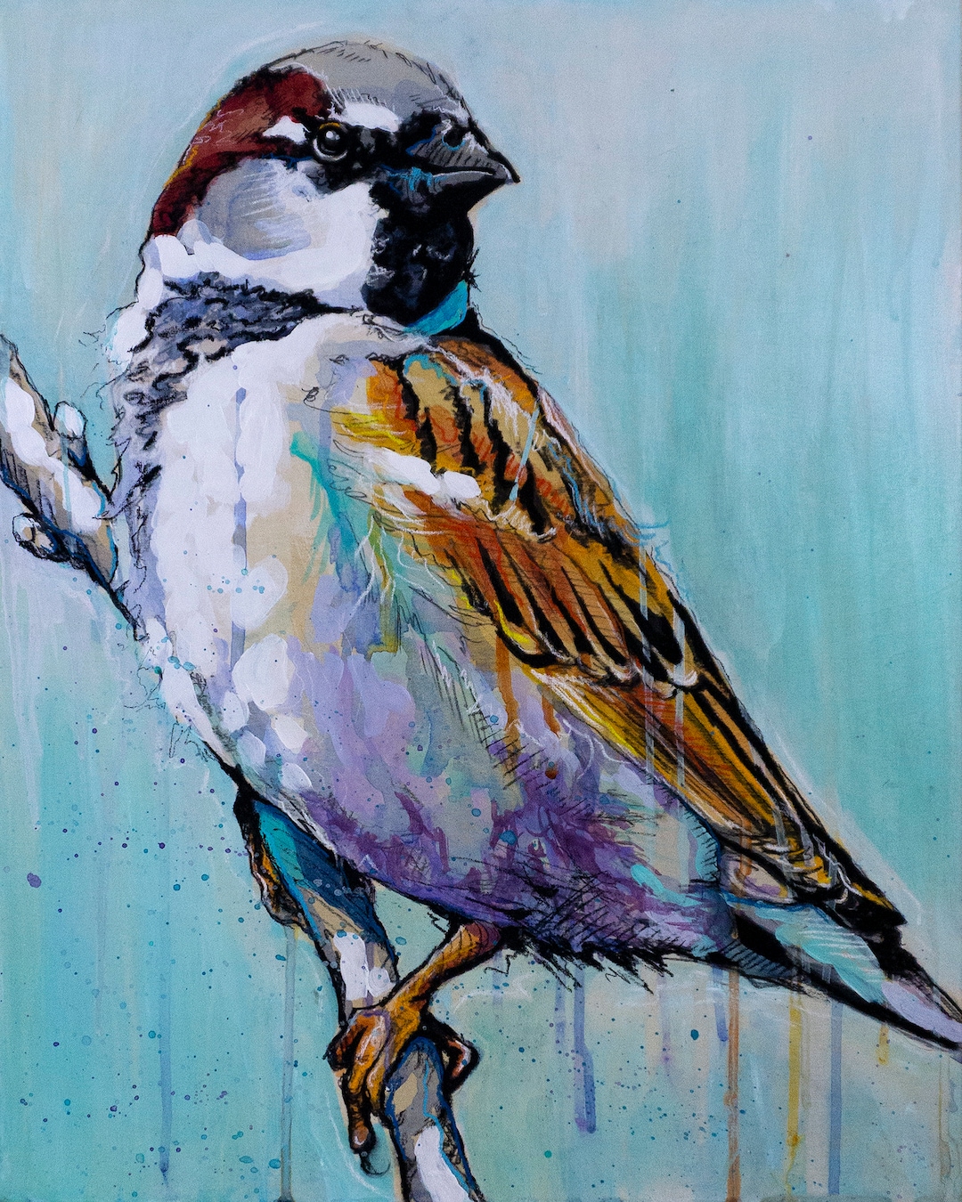 Male House Sparrow Acrylic Art Print, Sparrow Painting, Sparrow Print ...