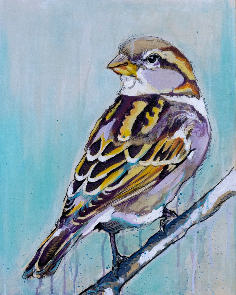 Female House Sparrow Acrylic Art Print, Sparrow Painting, Sparrow Print ...