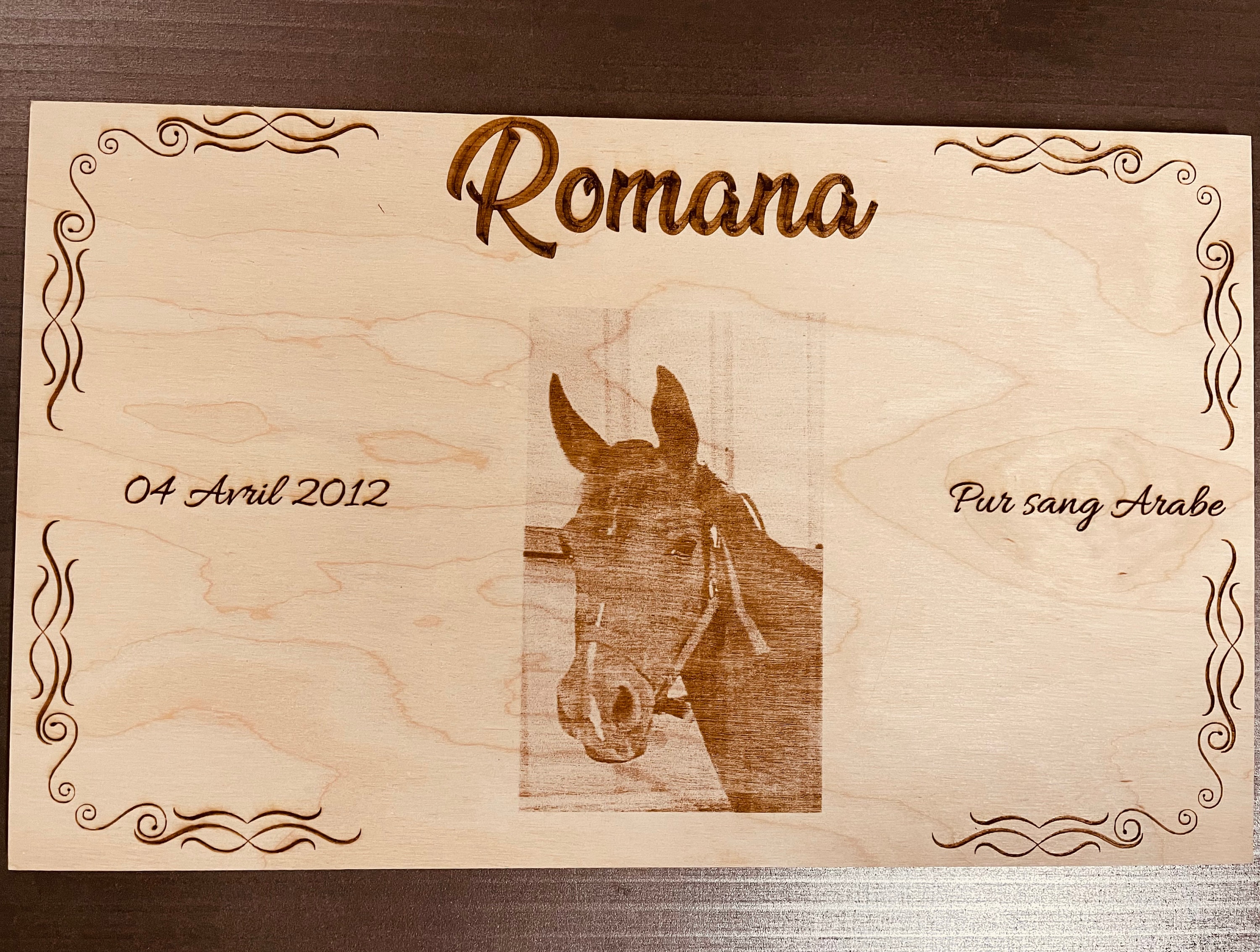 Plaque de Box Cheval, Plaque avec photo de votre cheval, Présentation ...