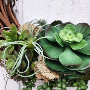 Front Door Wreath | Front Door Succulent Wreath | Succulent Decor ...