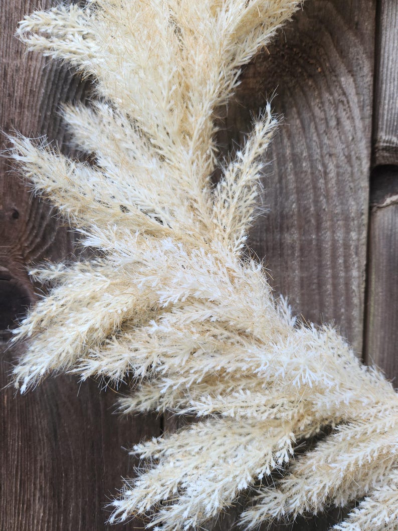 Elegant Faux Pampas Grass Wreath With Black Velvet Bow Modern Fall ...