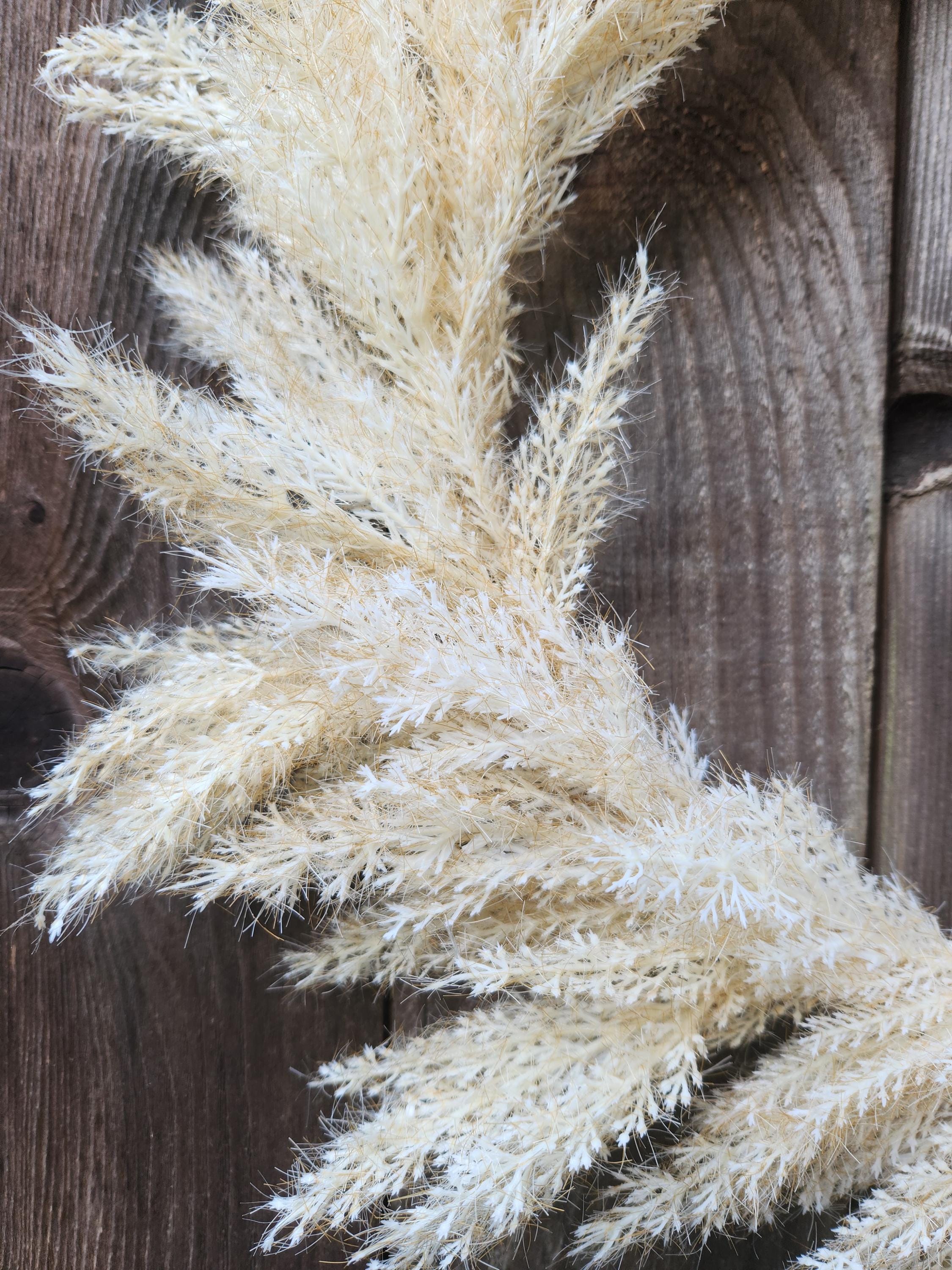 Elegant Faux Pampas Grass Wreath With Black Velvet Bow Modern Fall ...