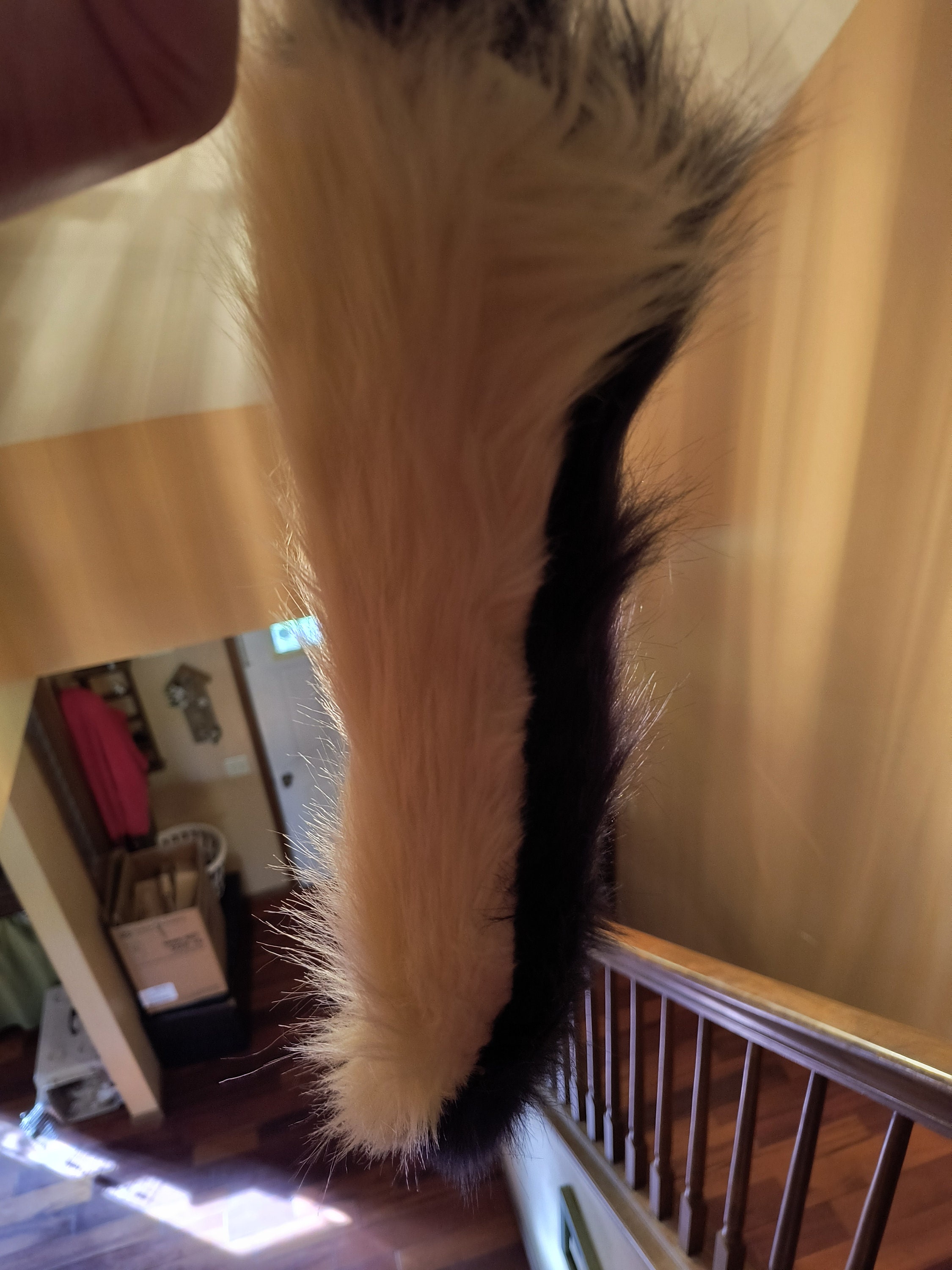 Fursuit Yard Sale || 2 Tails, 1 Headset+tail Matching Set - Etsy