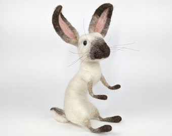 Seal Point Rabbit - Etsy