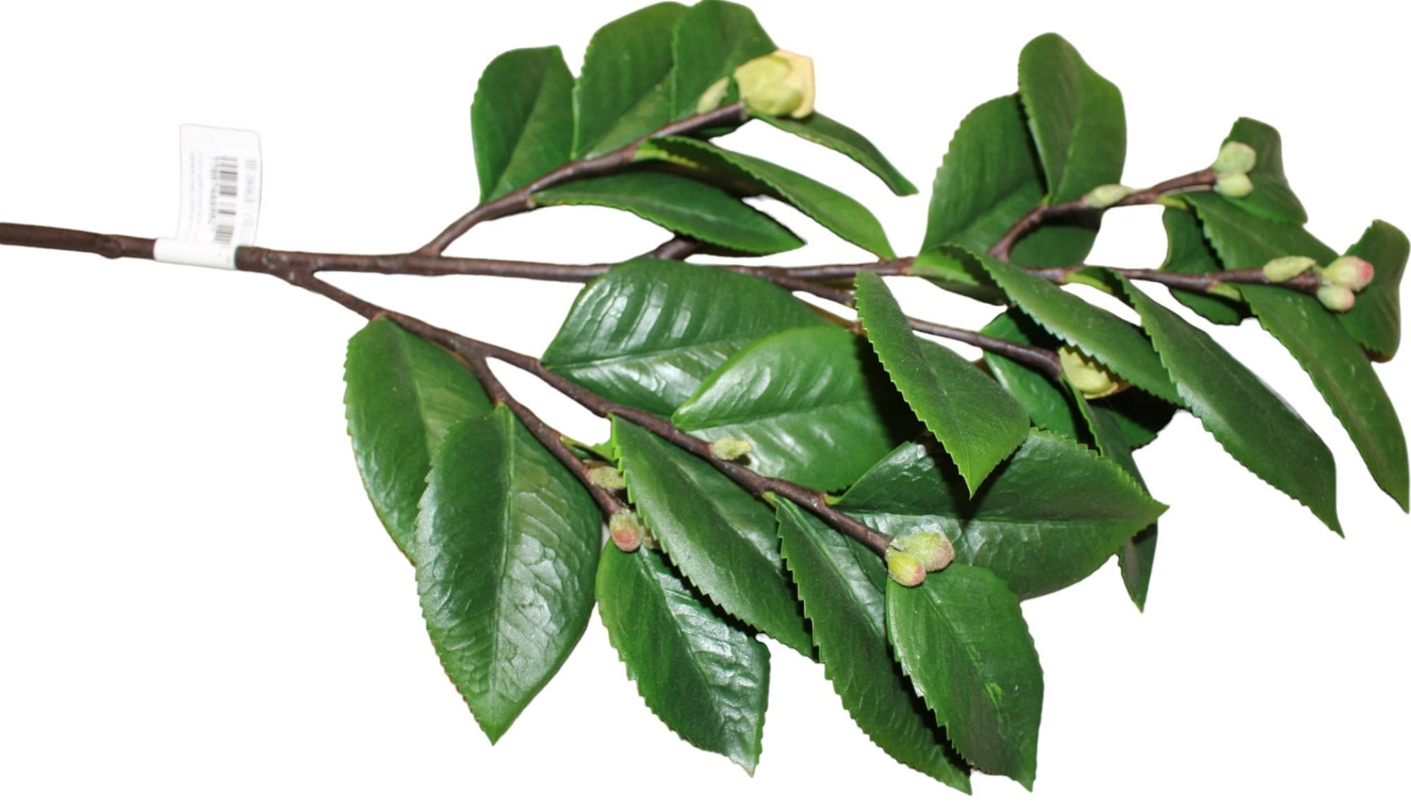 Artificial Camellia Leaf Spray 27", Camellia Spray for Wedding ...