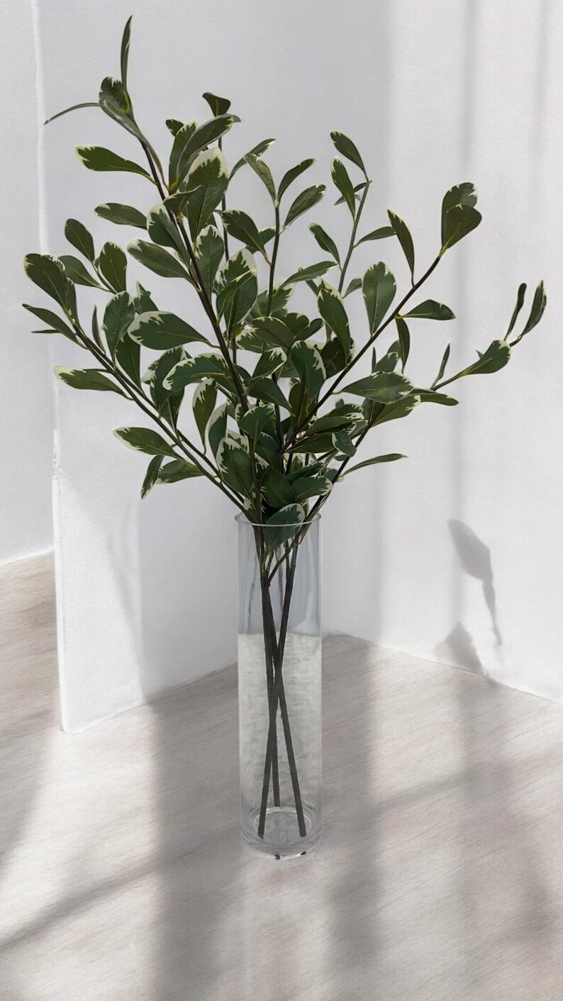 Real Touch Varigated Pittosporum Green Stem 34" - Etsy