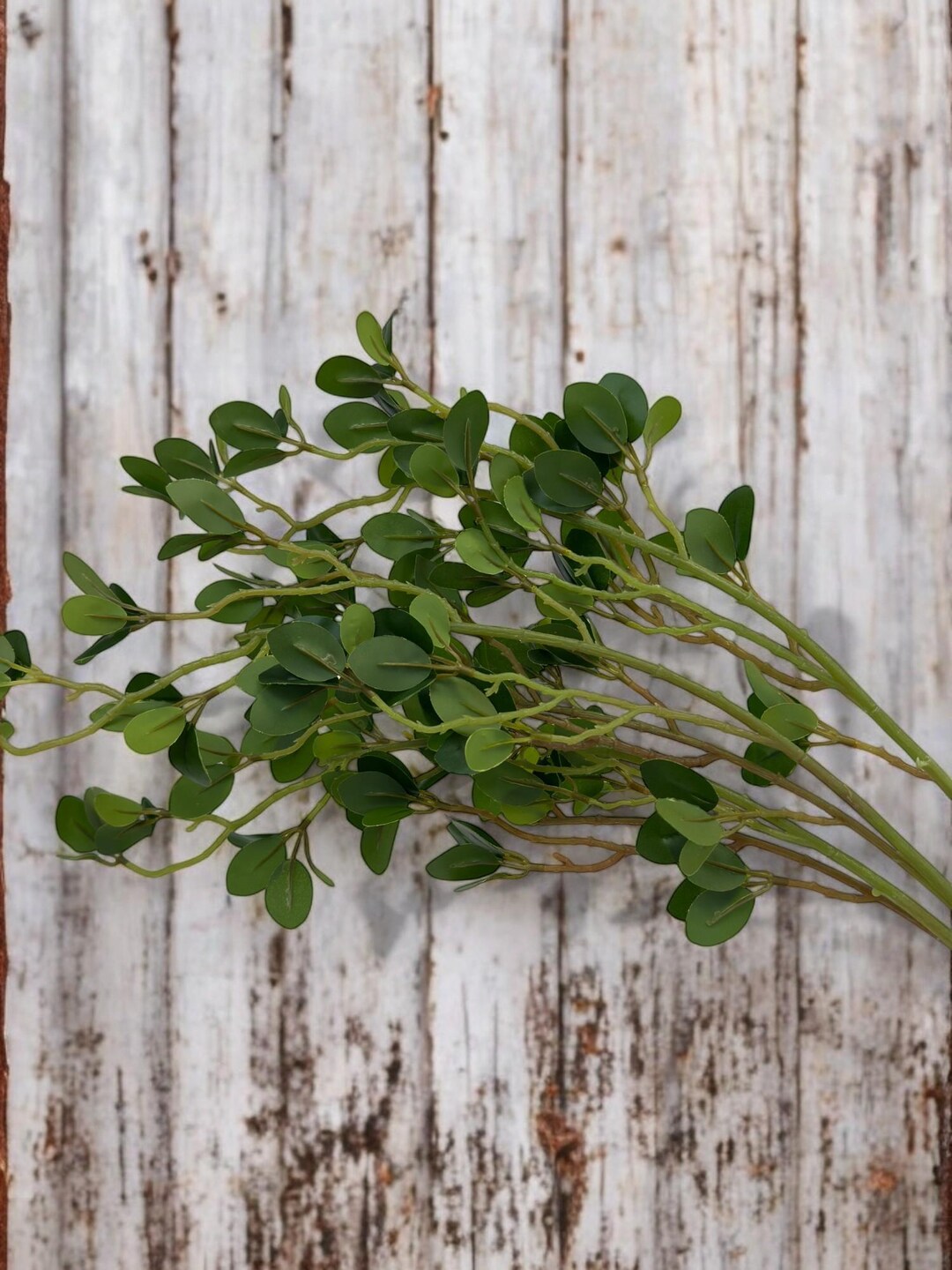 Real Touch Ficus Microcarpa Branch: 27.5" Faux Greenery - Etsy