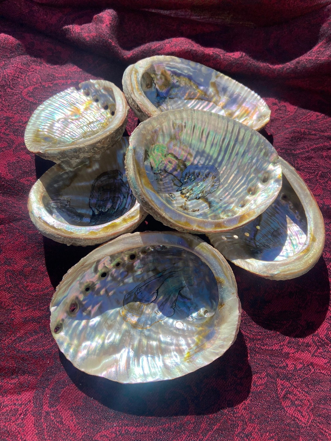 Abalone Shell - Seashell Incense Burner - Smudge Bowl for Holding ...
