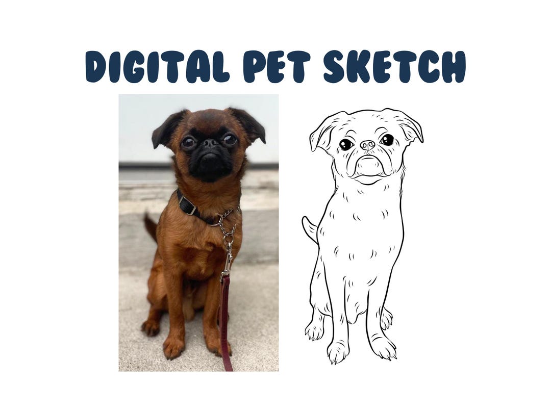 Digital Pet Outline (SIMPLE) - Dog Cat Vector Line Out Drawing, Pet ...