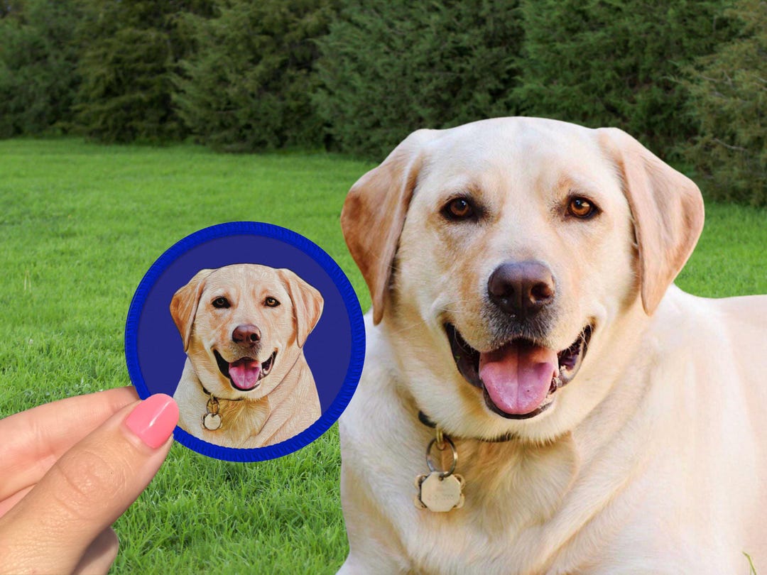 Custom Pet Clothing Patch - Pet Illustration, Personalized Patch, Iron ...