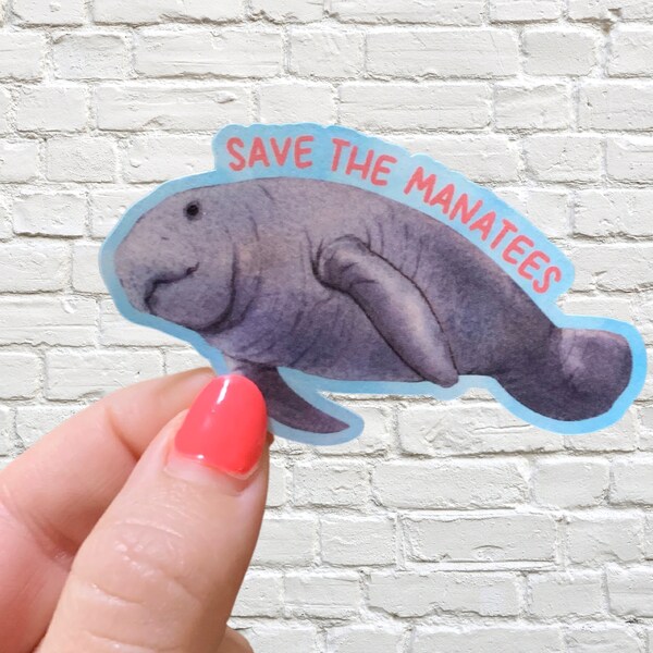 Manatee - Etsy