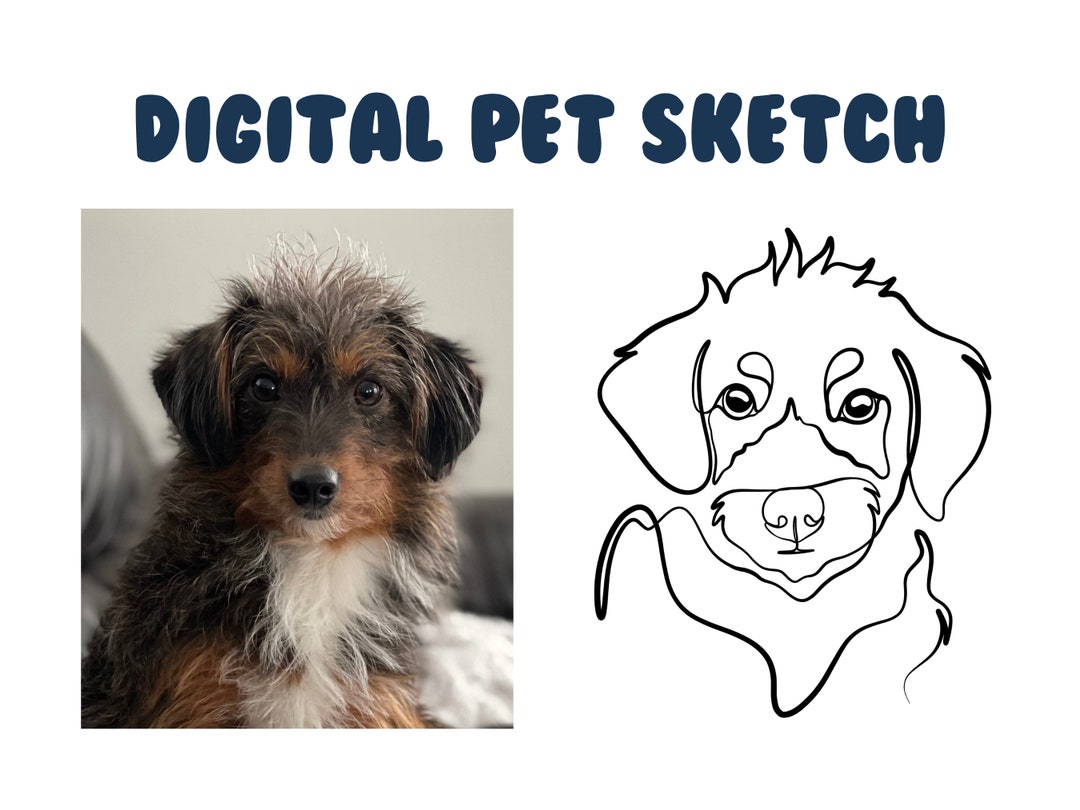 Digital Pet Outline (ONE LINE) - Custom Pet Illustration, Dog Cat Bunny ...
