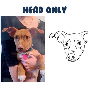 Digital Pet Outline (SIMPLE) - Dog Cat Vector Line Out Drawing, Pet ...