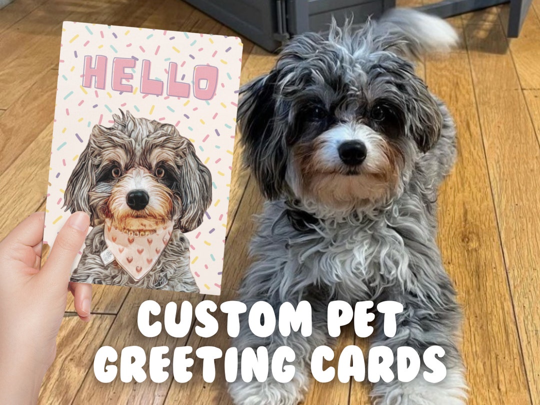 Custom Pet Greeting Cards (BIRTHDAY SPRINKLES) (10, 30, 50 Pack ...