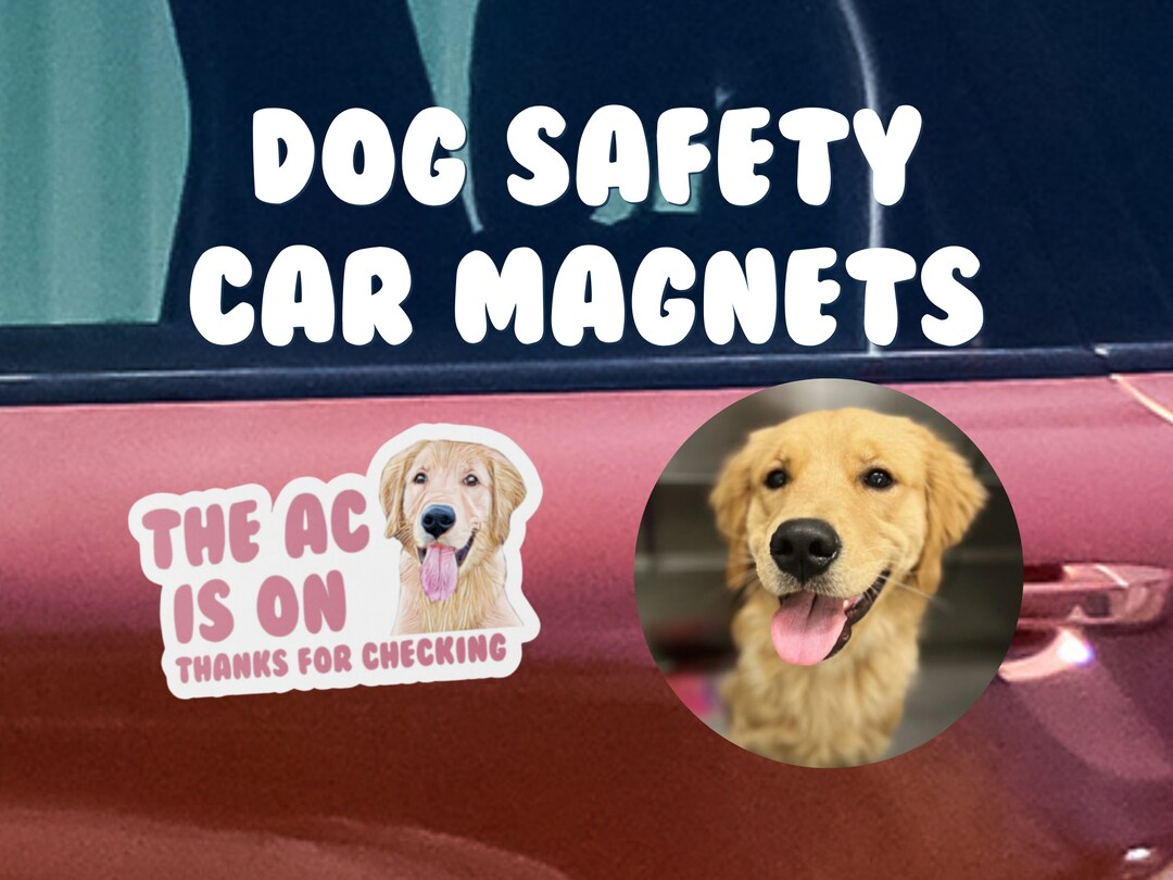 Custom Sketched Pet Car Safety Magnet Let Other's Know Your Dog is ...