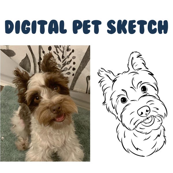 Simple Drawing Outline - Etsy