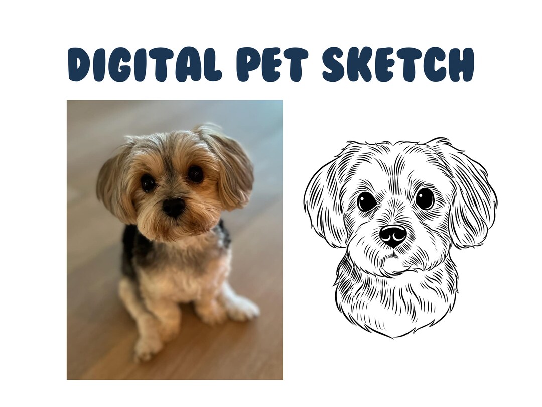 Digital Pet Outline (DETAILED) - Custom Pet Illustration, Dog Cat Bunny ...