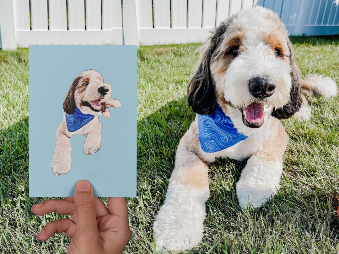 Custom Pet Greeting Cards 10 30 50 Pack - Etsy